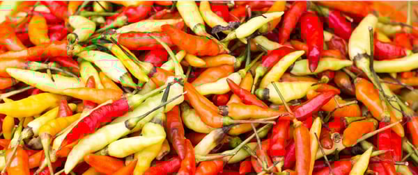 Hot Sauce Heat Index